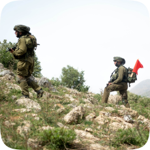 חולקו על ידי קרן הסיוע עד ה-07/01/2024 ב'חרבות ברזל'